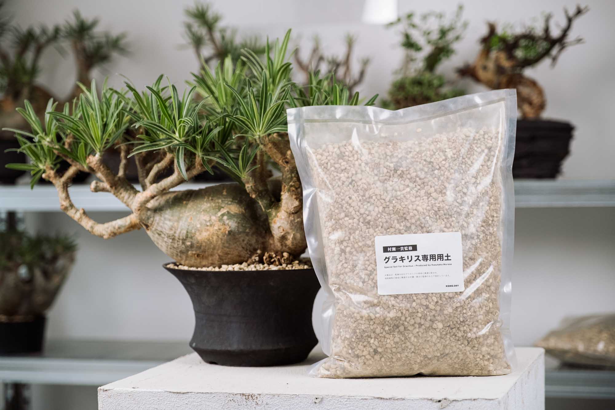 【村瀬監修】 グラキリス用土 PREMIUM SOIL MIX – KOMO