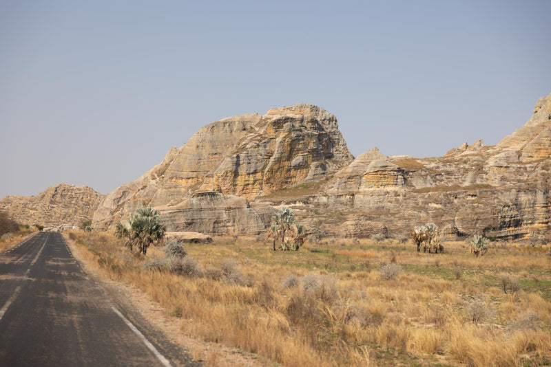 KOMO | 観葉植物・鉢の販売 | 福岡県糸島市