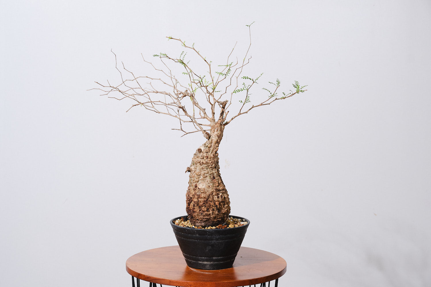 商品 – KOMO