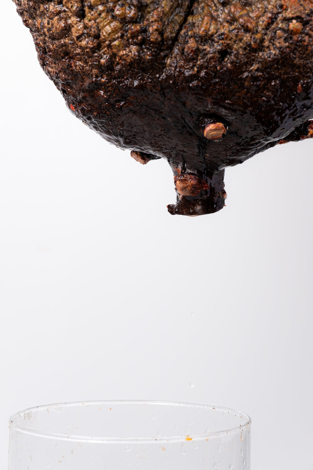 UP14-オペルクリカリアパキプス ベアルート株 – KOMO