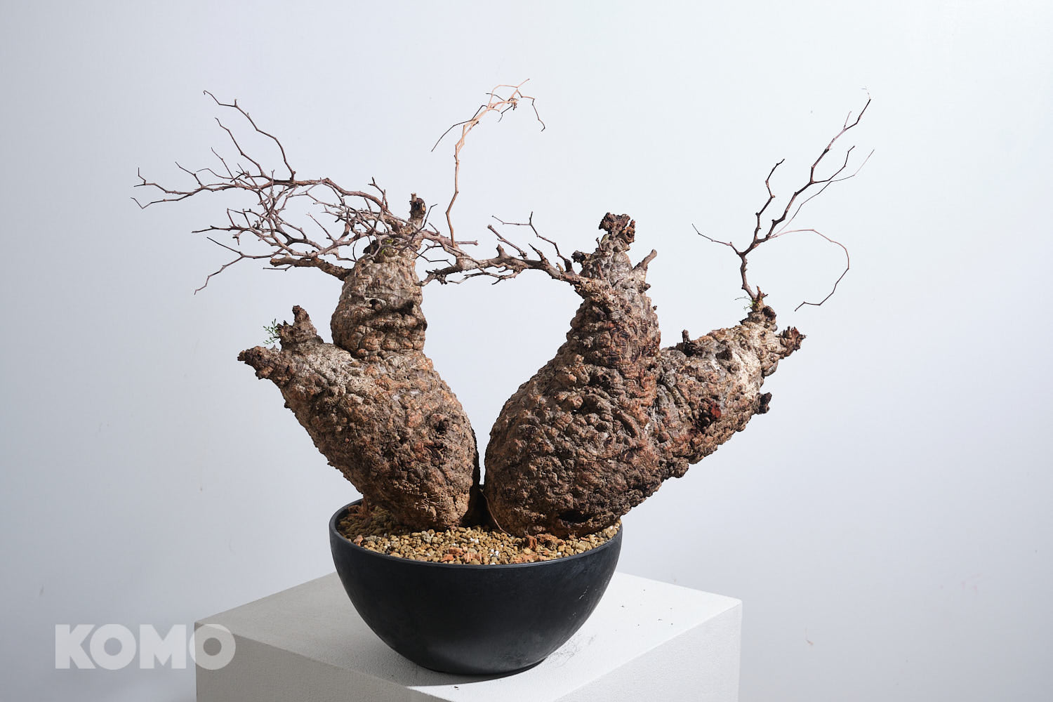 商品 – 3ページ目 – KOMO